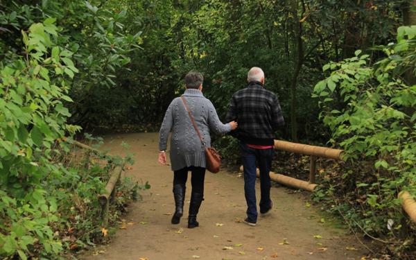 Hvem har ret til tidlig pension (Arne-pension) - se reglerne | FOA